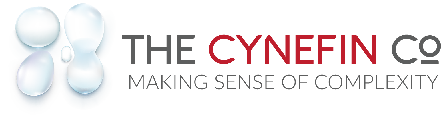 About Us - The Cynefin Co
